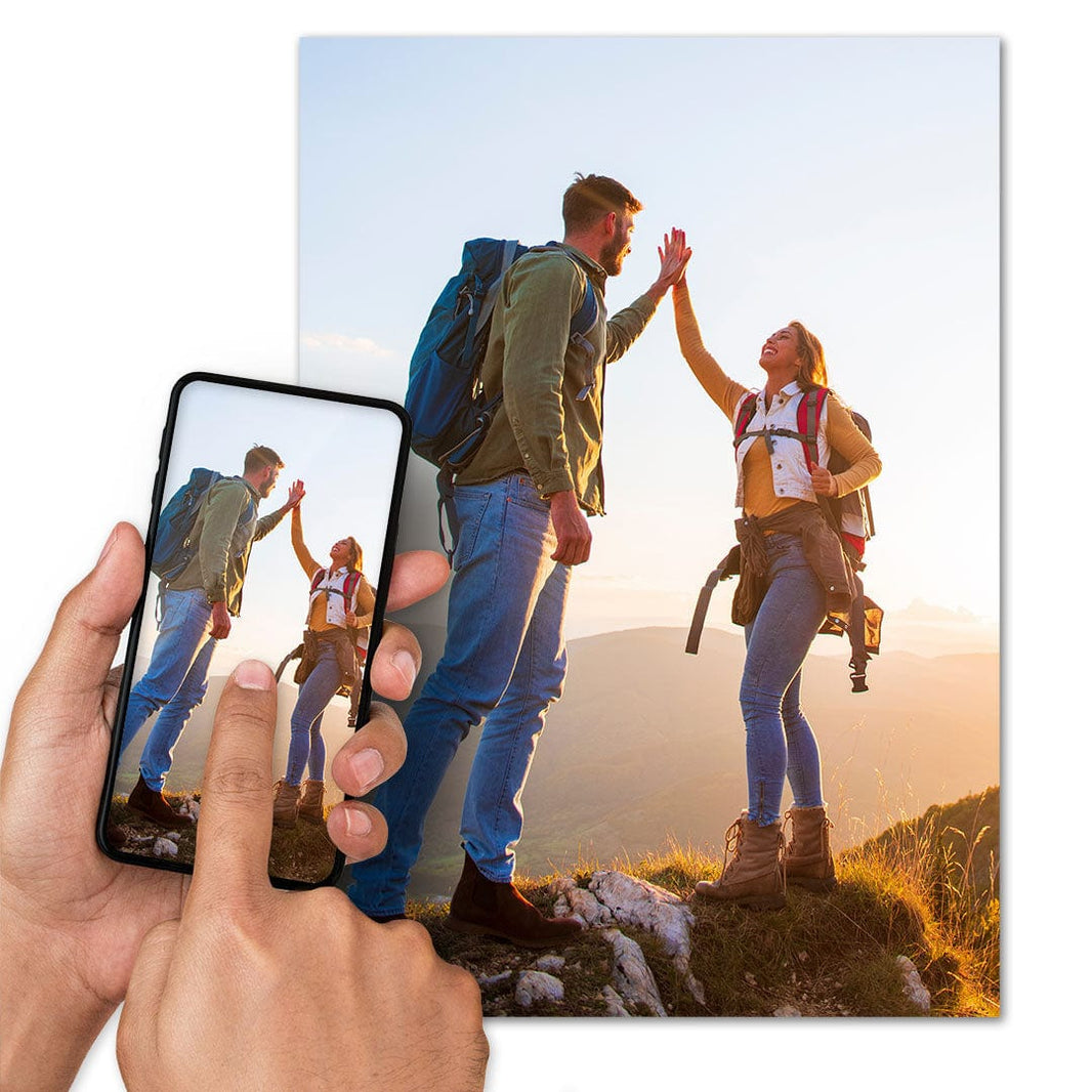 MEME WALLSMACK - TrophySmack